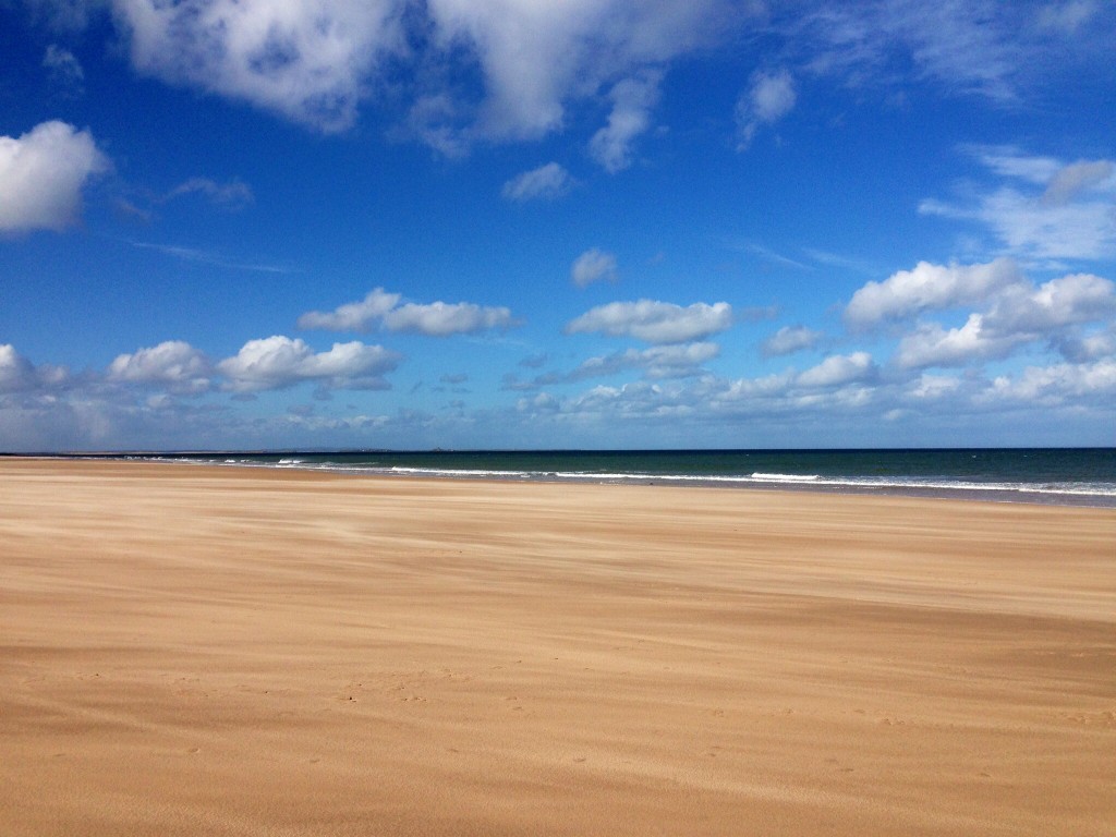 Bar & Grill Restaurant - Purdy Lodge